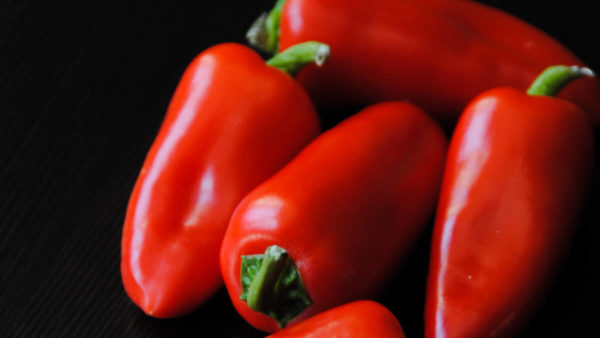 Co byste měli vědět o kapiích – Cesta na talíř